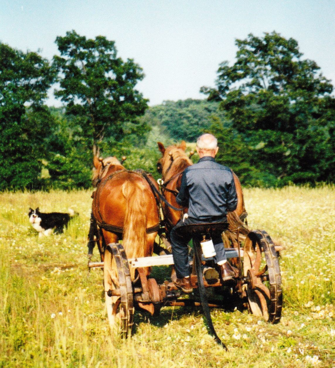 William J. Raish, SR | Dagon Funeral Home